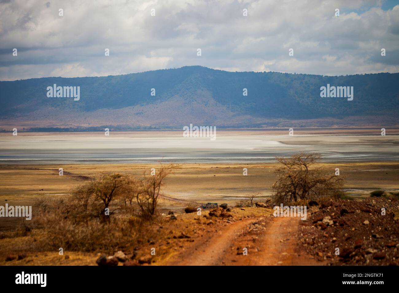 ngorongoro crater wildlife, africa, tansania Stock Photo - Alamy
