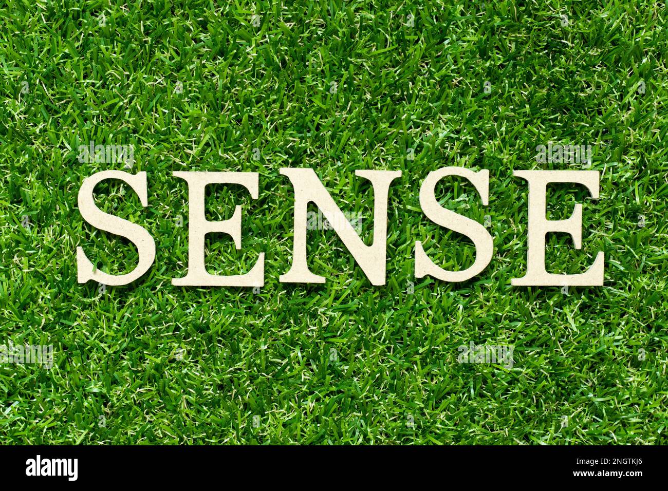 Wood letter in word sense on green grass background Stock Photo - Alamy