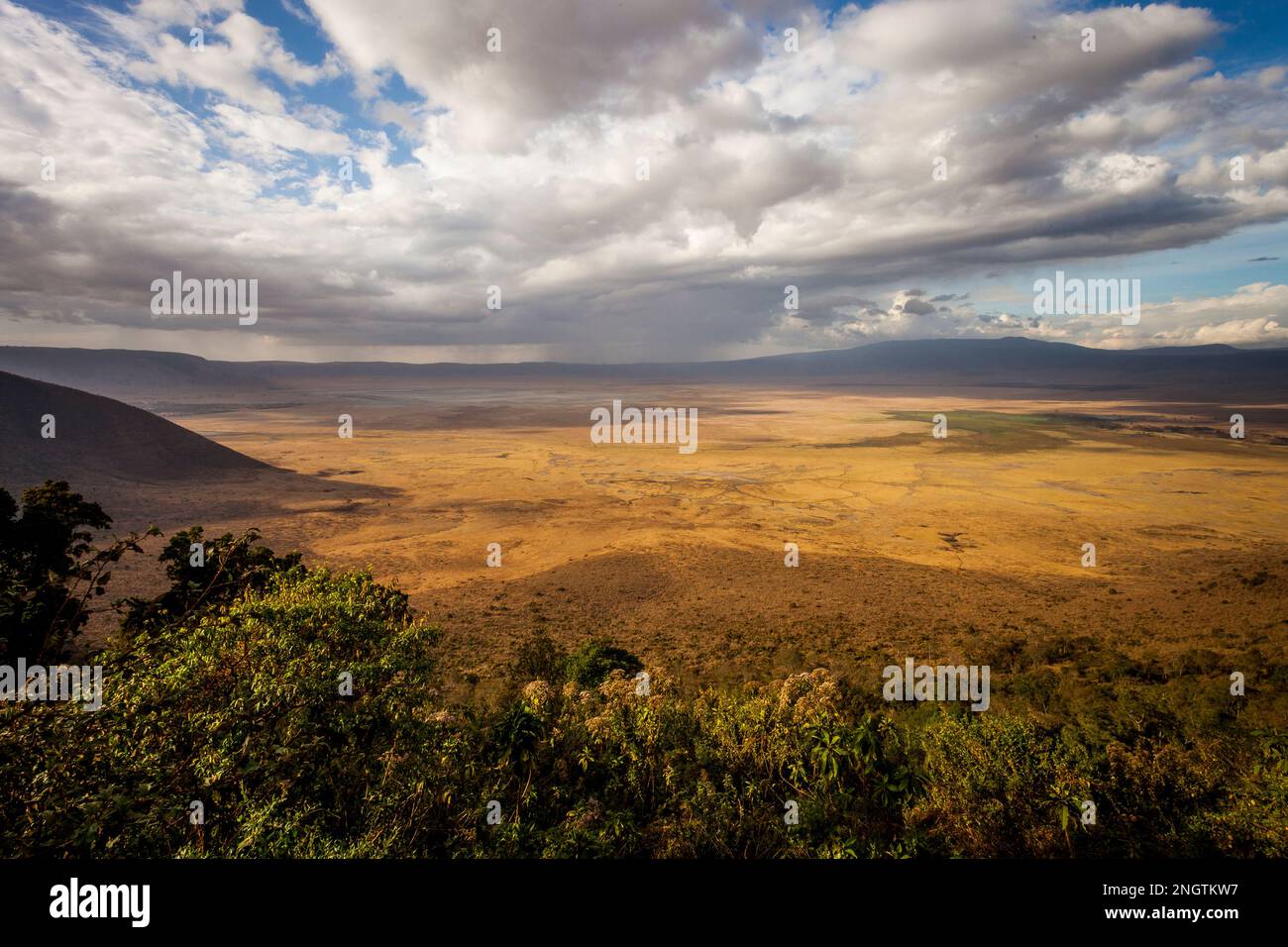 ngorongoro crater wildlife, africa, tansania Stock Photo - Alamy