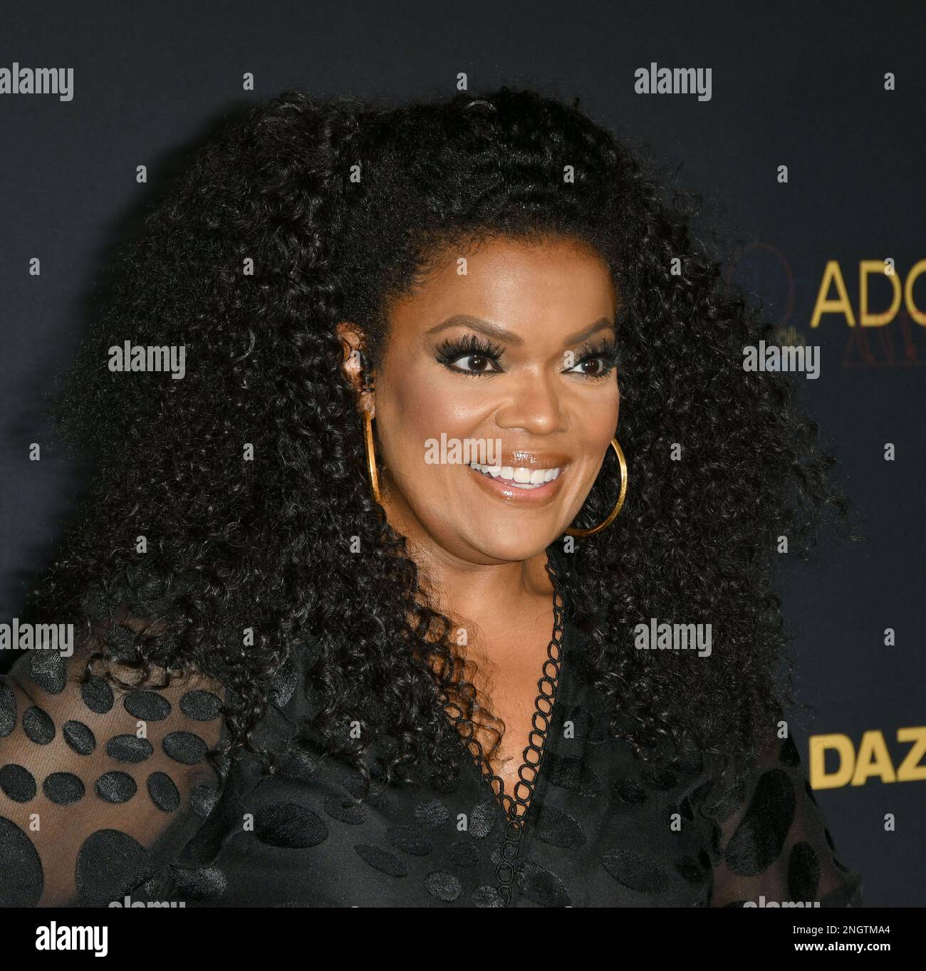 27th Annual ADG Awards February 18, 2023-Intercontinental Los Angeles ...