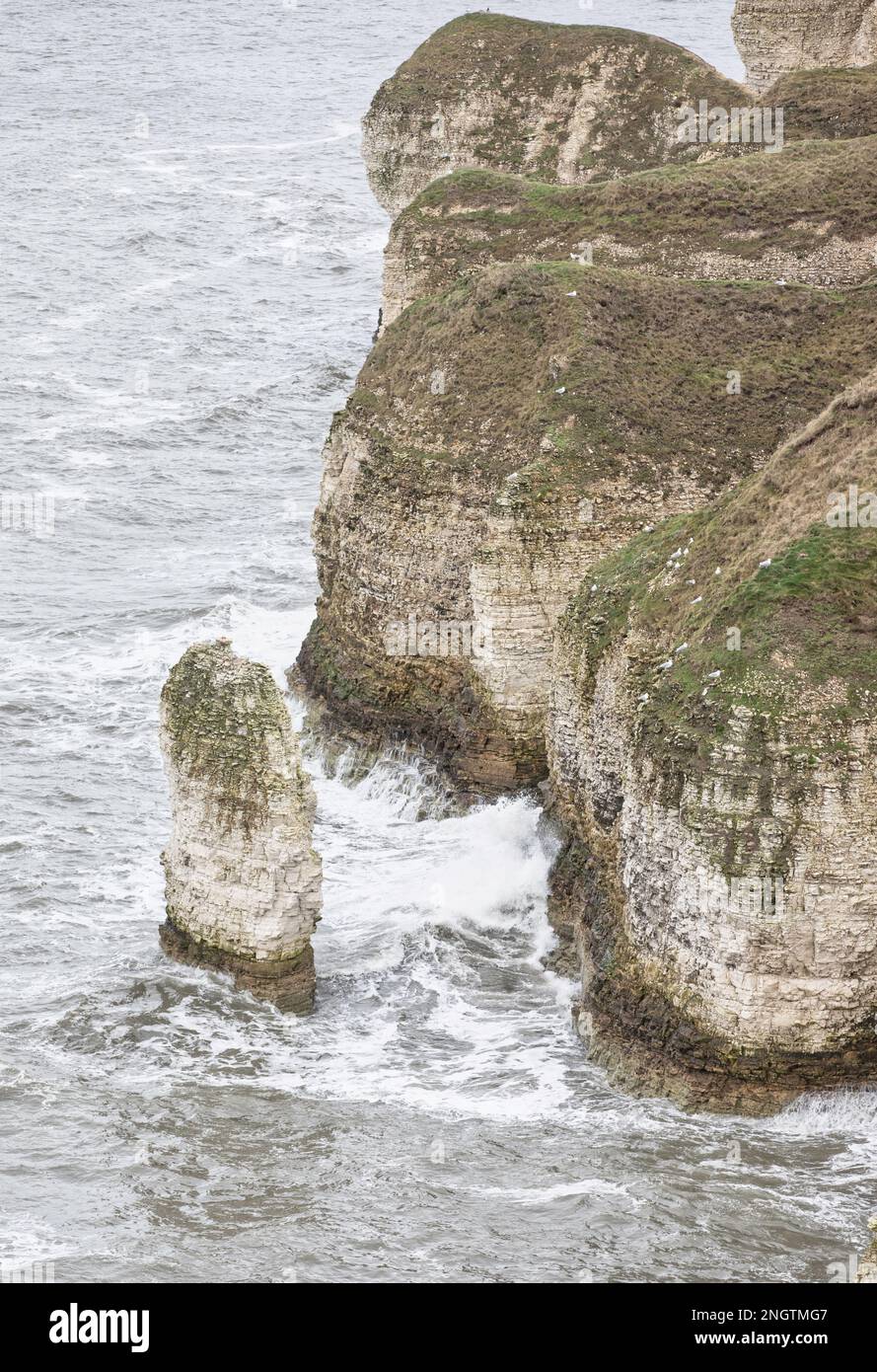 Sea Stack at Flamborough Yorkshire England Stock Photo - Alamy