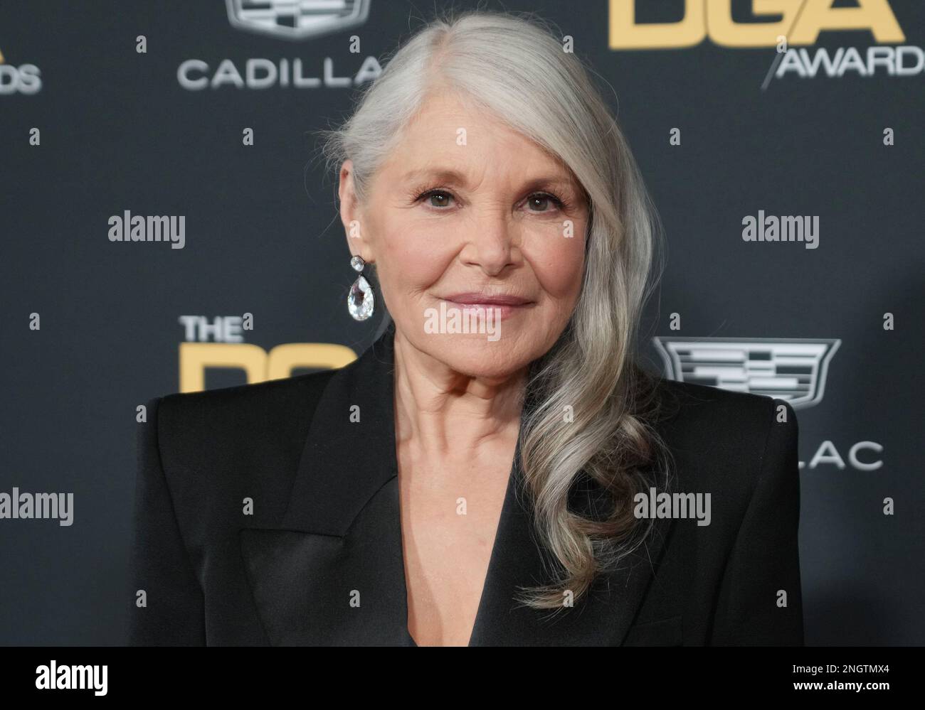 Helen Shaver arrives at the 75th Annual Directors Guild Of America ...