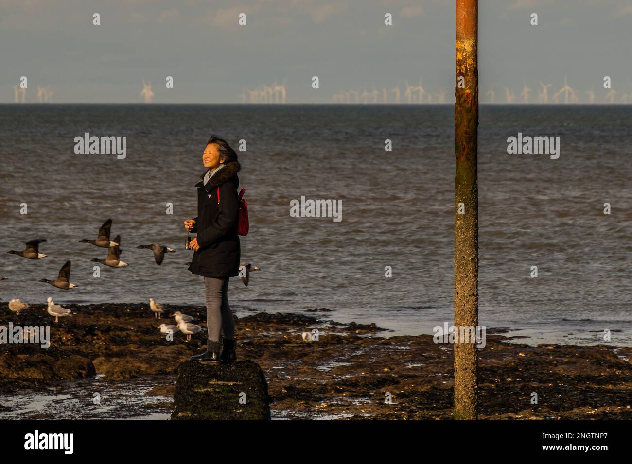 Thames estuary wind farm hi-res stock photography and images - Alamy