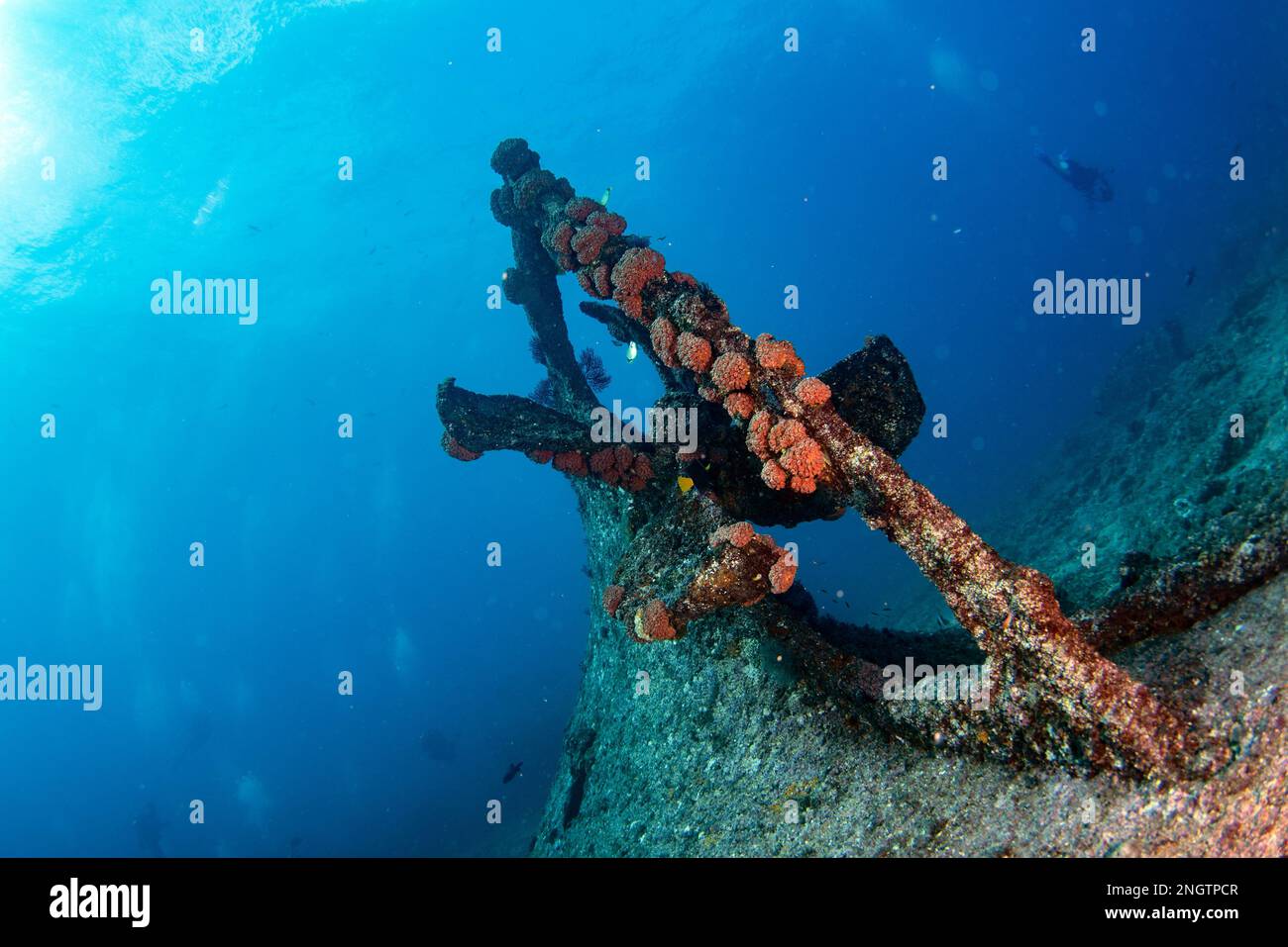 Scuba divers exploring propeller of sunken shipwreck in cortez sea ...