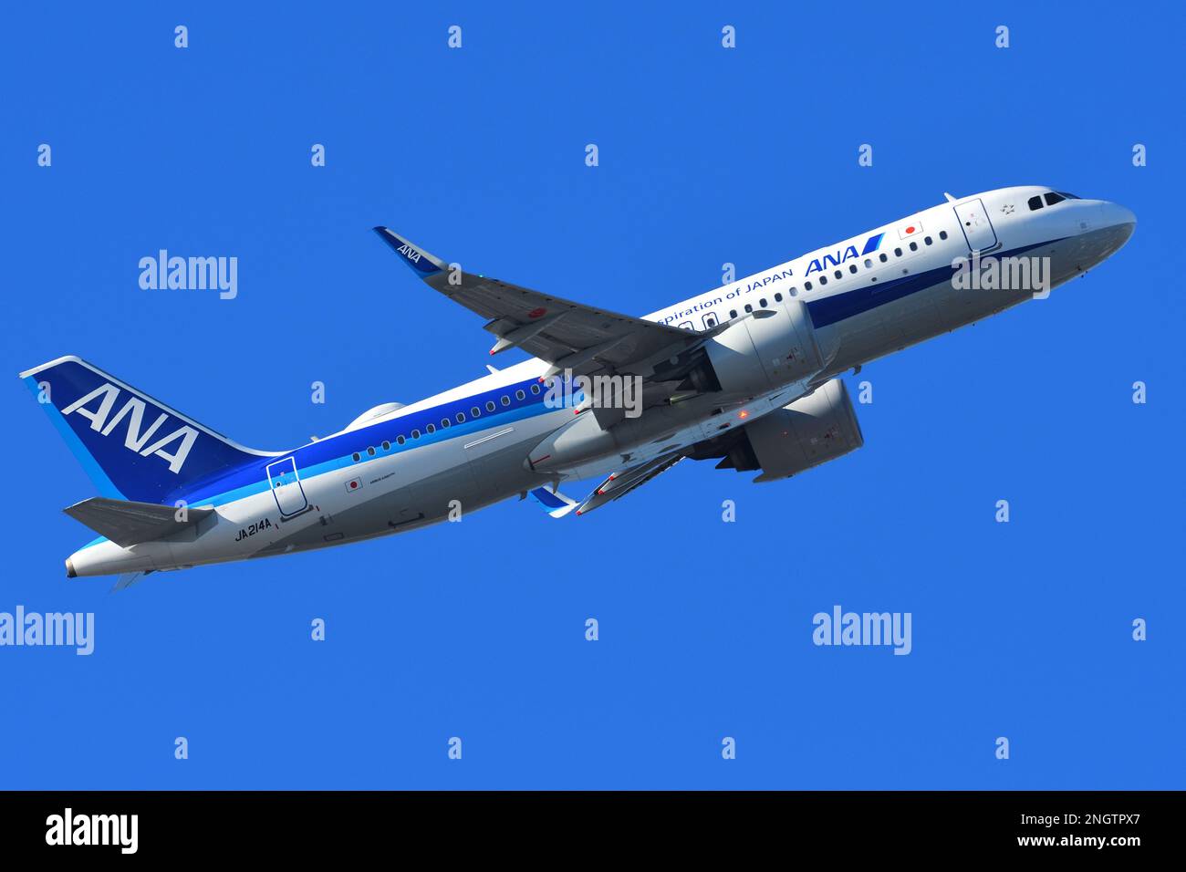 Tokyo, Japan - December 26, 2020: All Nippon Airways (ANA) Airbus A320 ... Tokyo, Japan - December 26, 2020: All Nippon Airways (ANA) Airbus A320 ...