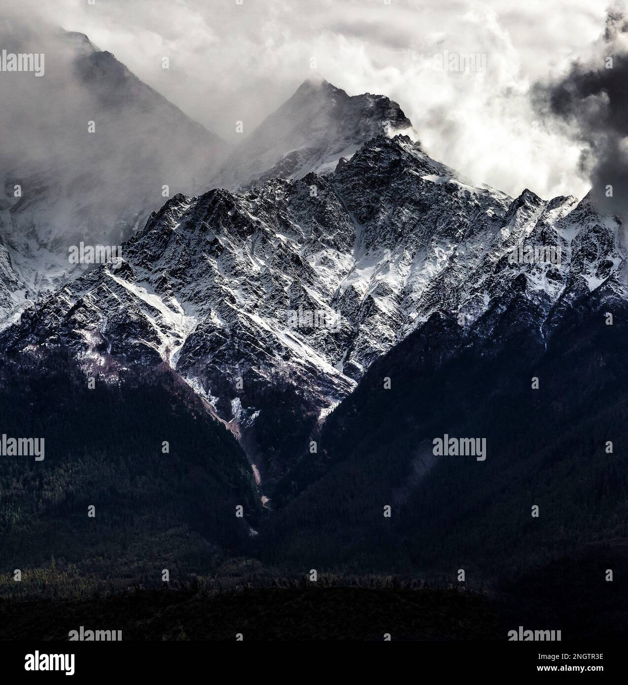 Nilgiri mountains hi-res stock photography and images - Alamy