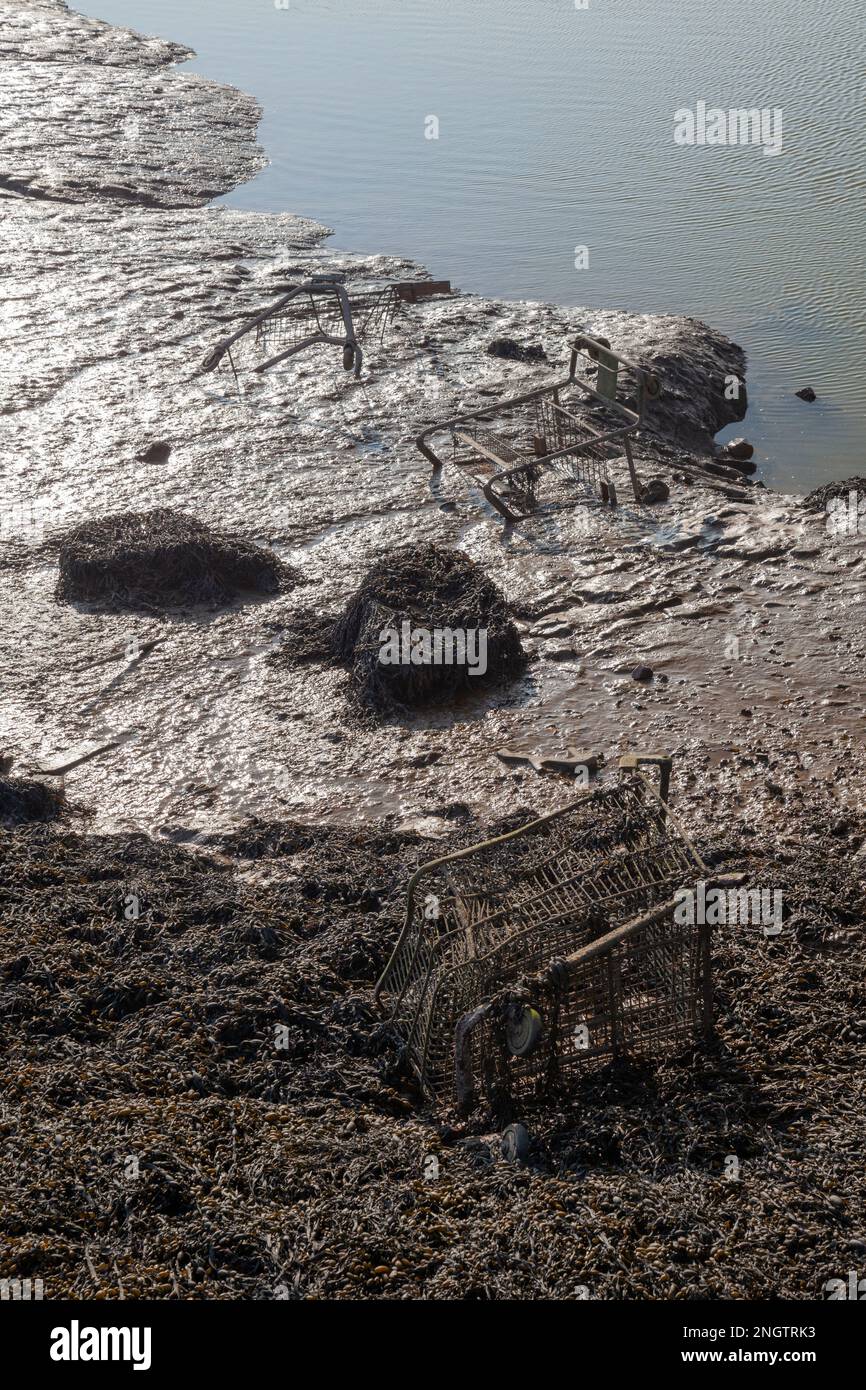 Trollies in sea hi-res stock photography and images - Alamy