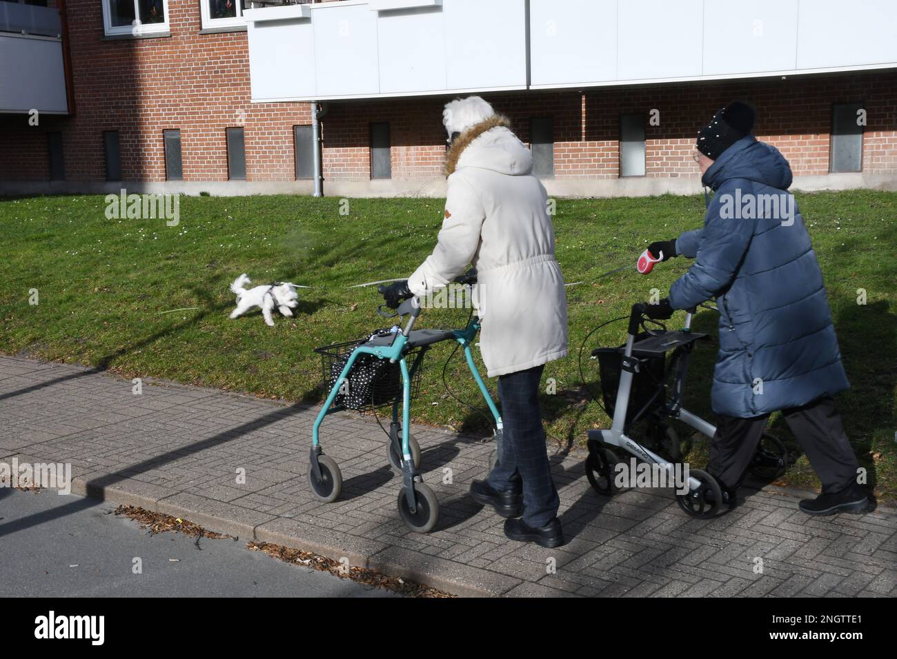 Copenhagen/Denmark/19 February 2023/ Senior citizen walks with walker ...