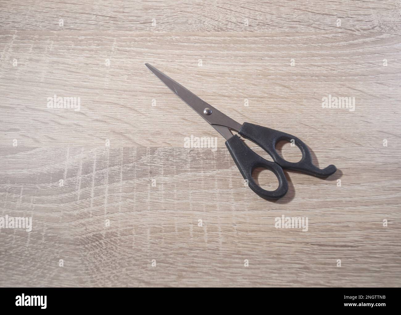 Hand holding a tesora, white wooden background,photo for clipping Stock ...