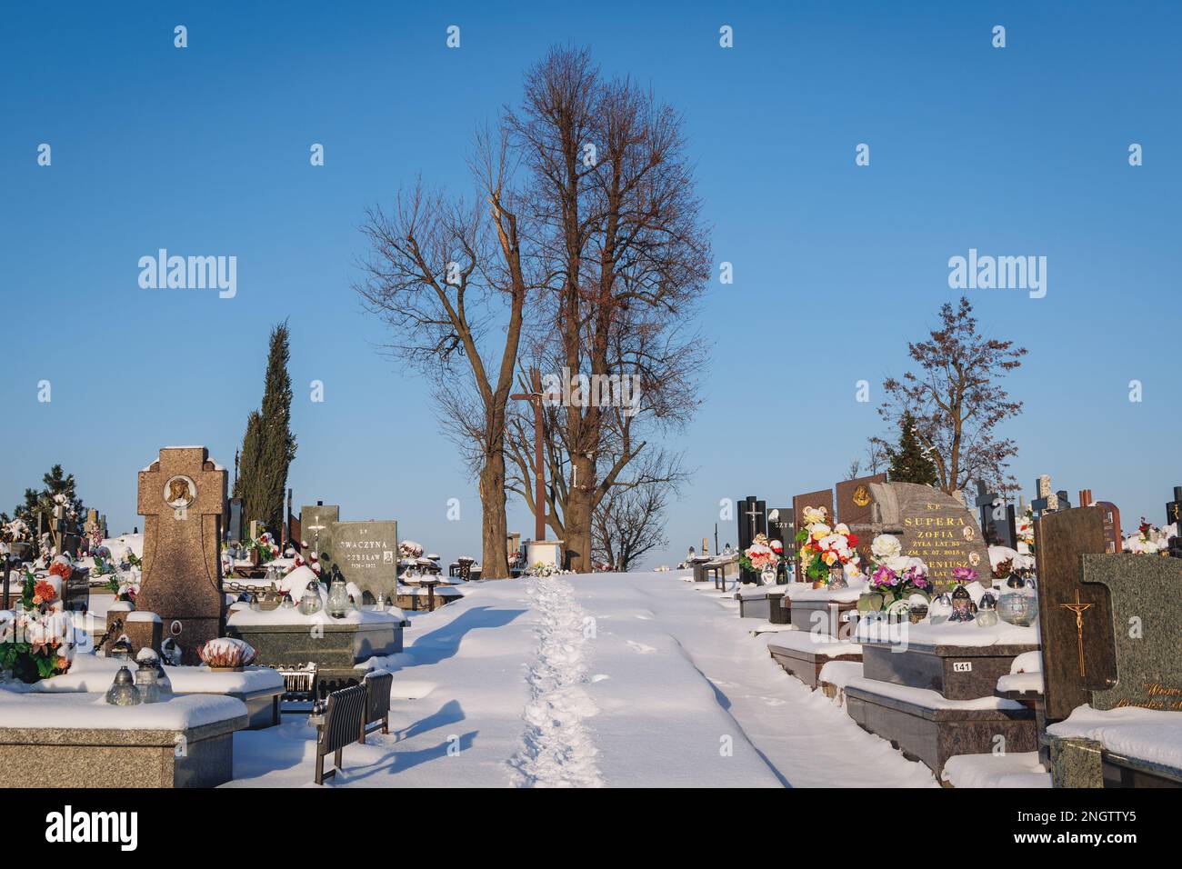 Roman catholic cemetery hi-res stock photography and images - Alamy