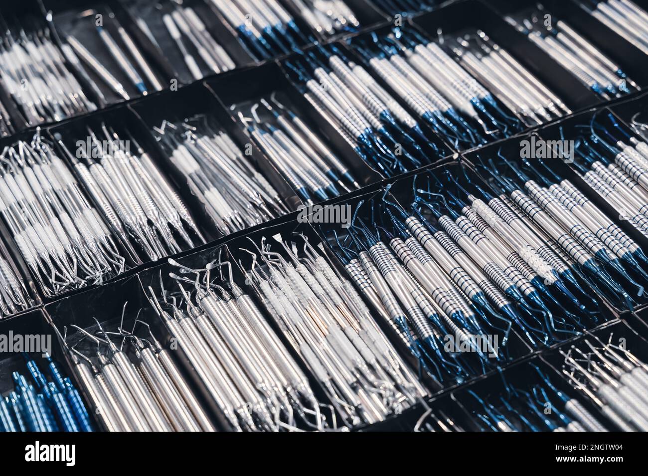 top view closeup of row of many basic stainless steel dental tools ...