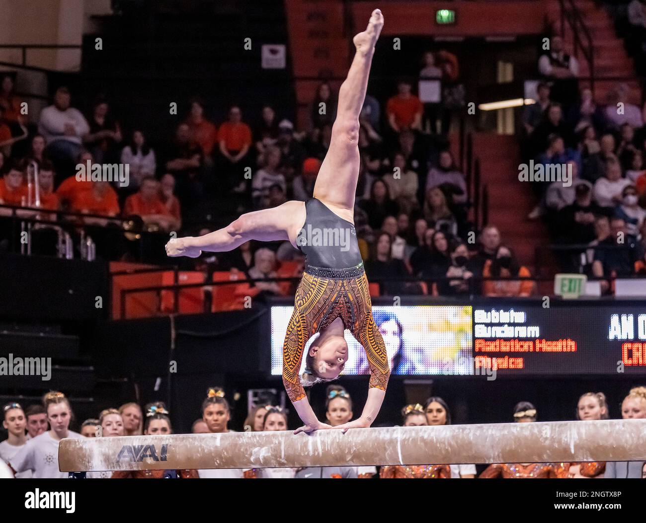 Corvallis, USA. 18th Feb, 2023. Oregon State's Olympic Gold Medalist ...