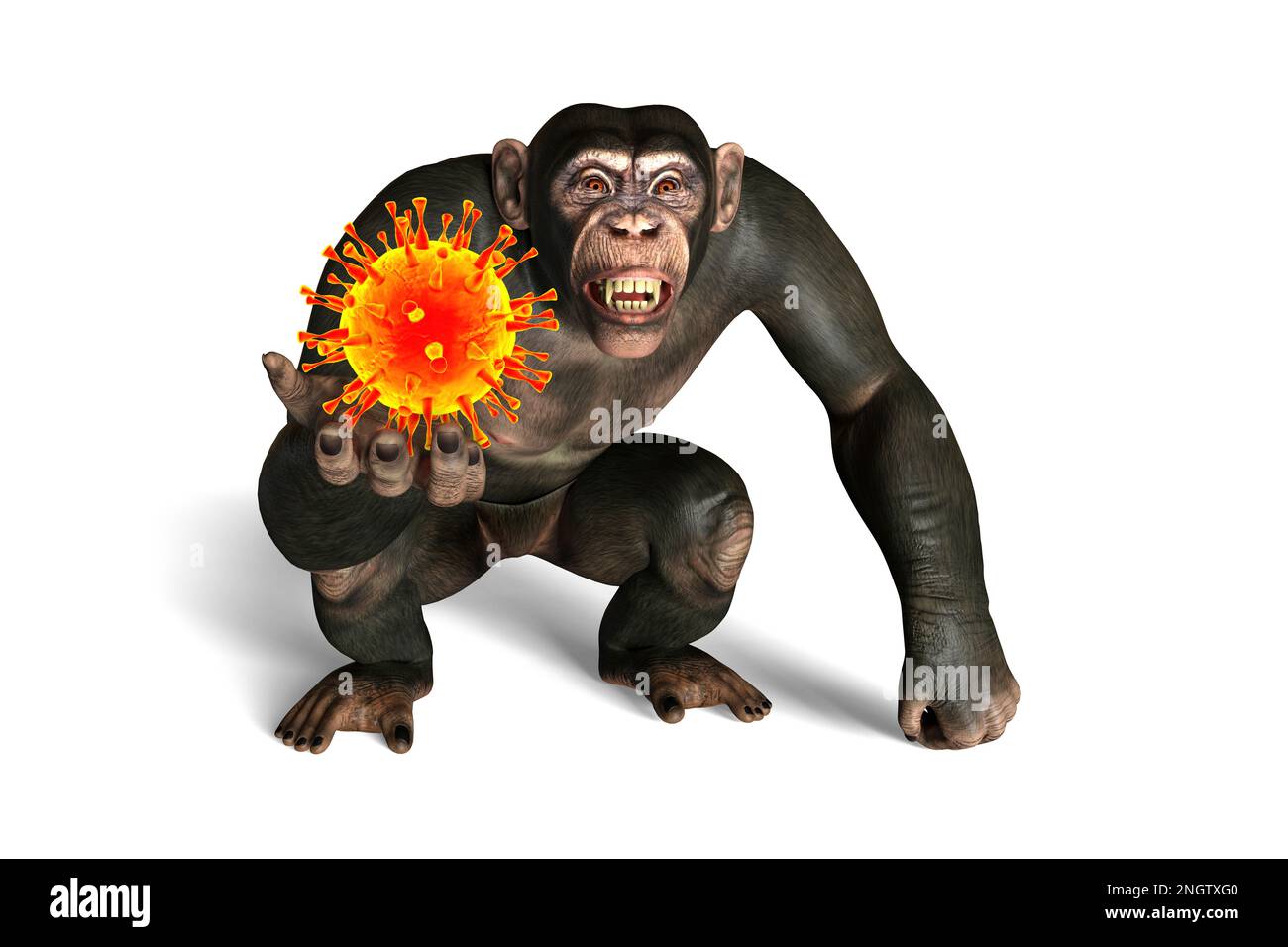 Human holding chimpanzee Cut Out Stock Images & Pictures - Alamy