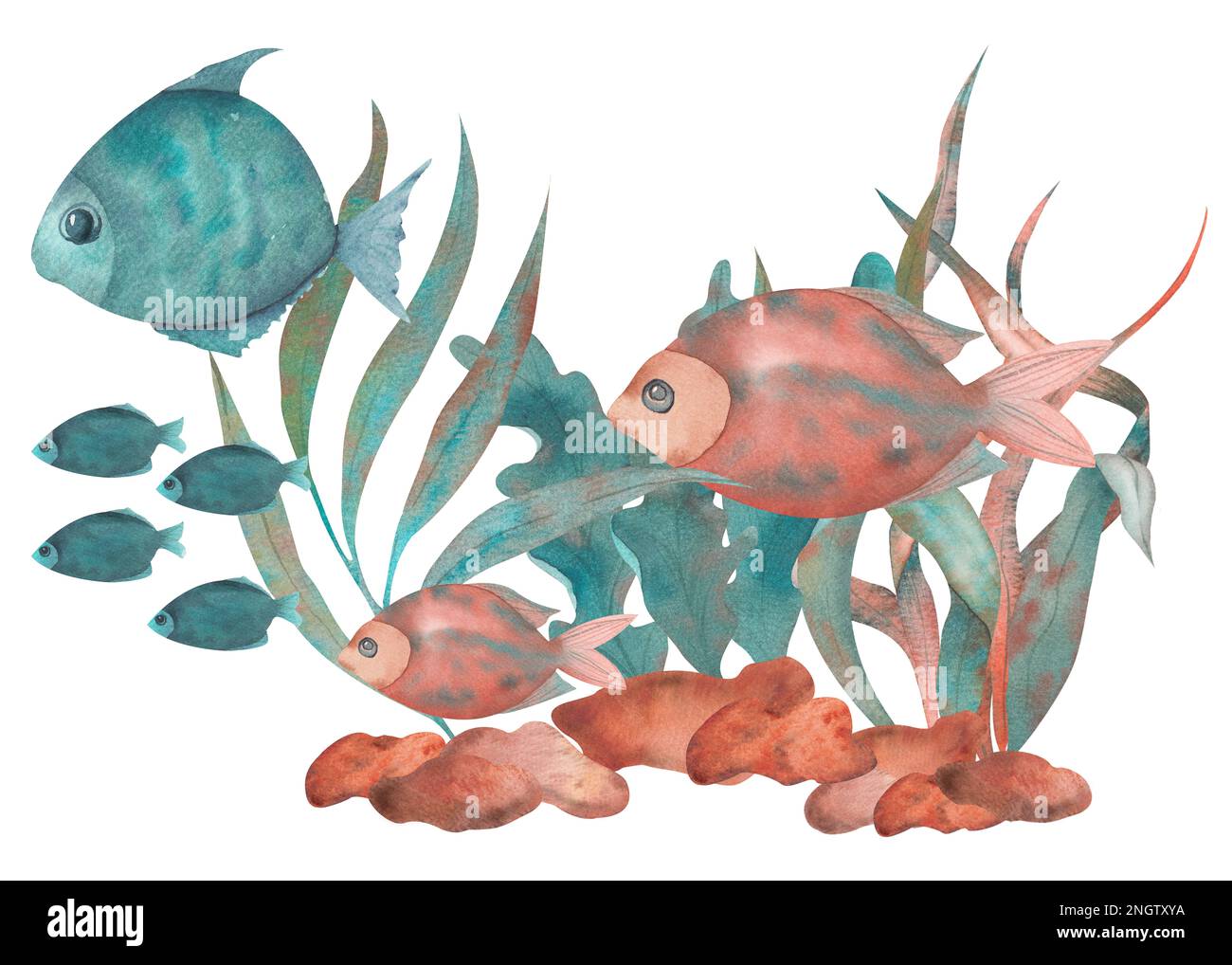 Beautiful fish in turquoise Cut Out Stock Images & Pictures - Alamy