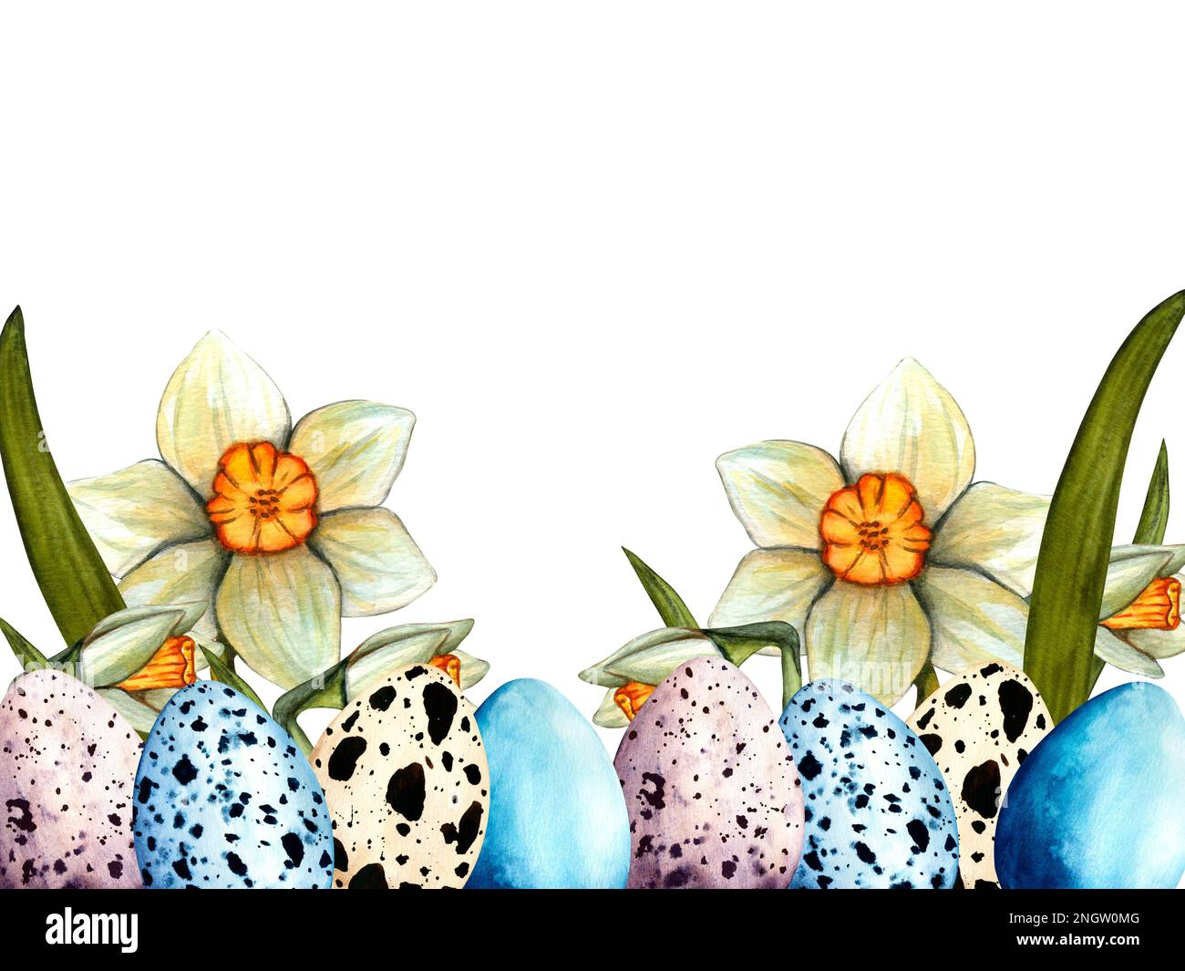 Watercolor border easter with daffodil and colored eggs. Spring hand ...