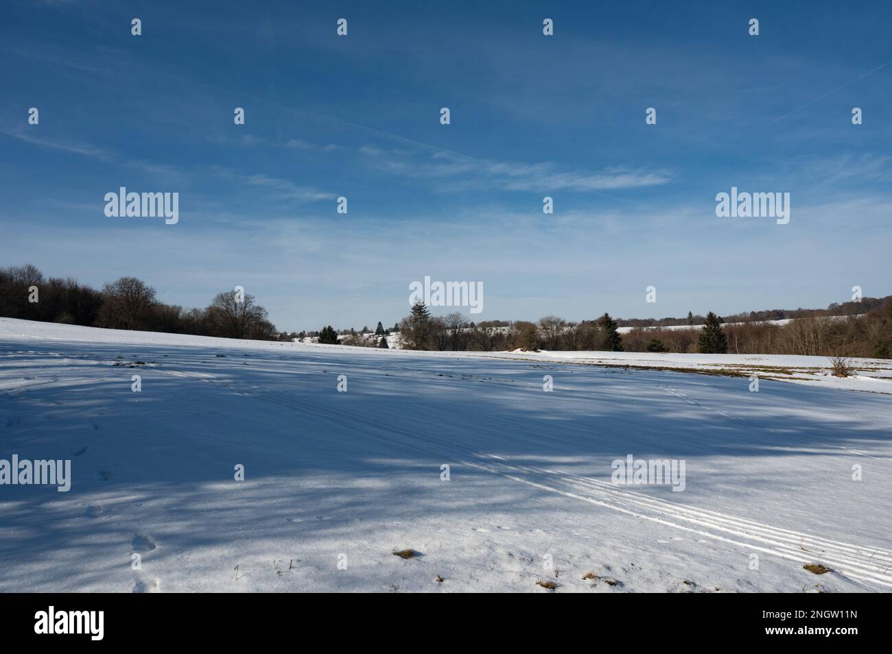 Lots of snow in nature, with trees and blue sky in the high Rhoen ...