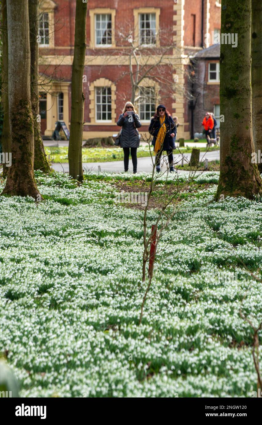 Lytham, Lancashire, UK. 19th Feb, 2023. Visitors to the Lytham Hall ...