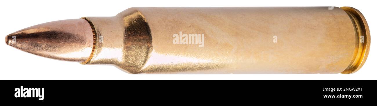View from the side of 556 mm caliber ammo that is used in an AR-15 ...