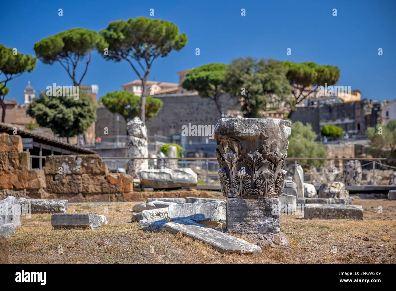 Ancient Rome: Forum Rome, Italy Stock Photo - Alamy