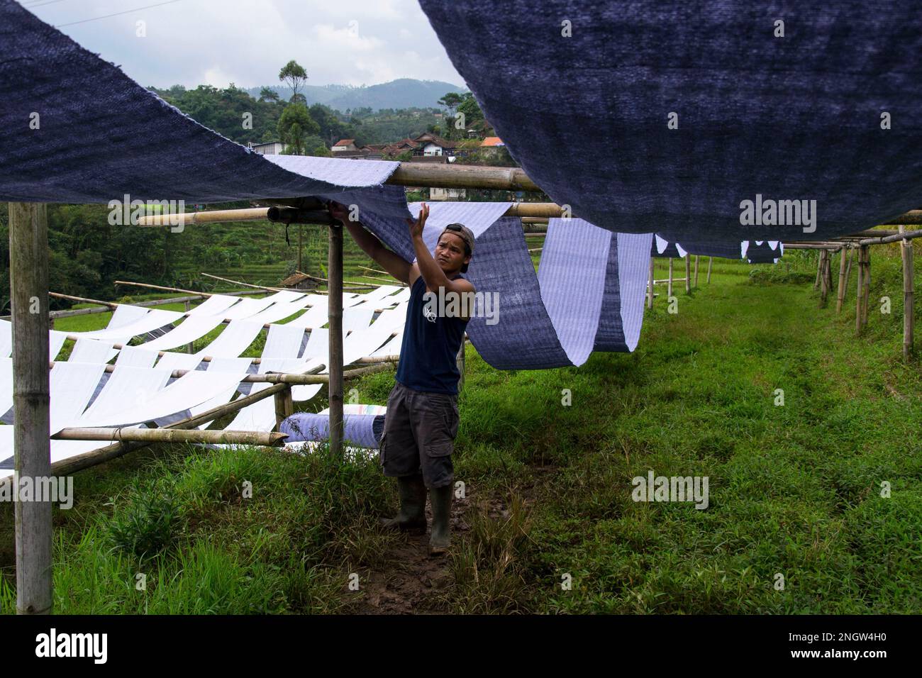Bandung Regency, Indonesia. 19th Feb, 2023. A worker is seen drying ...
