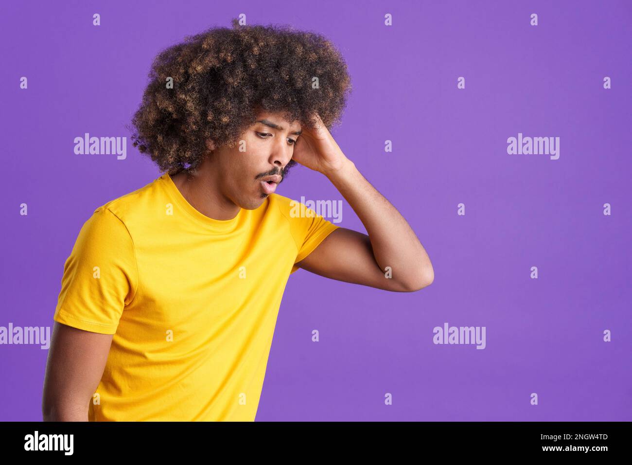 Forget me not flowers with negative space hi-res stock photography and ...