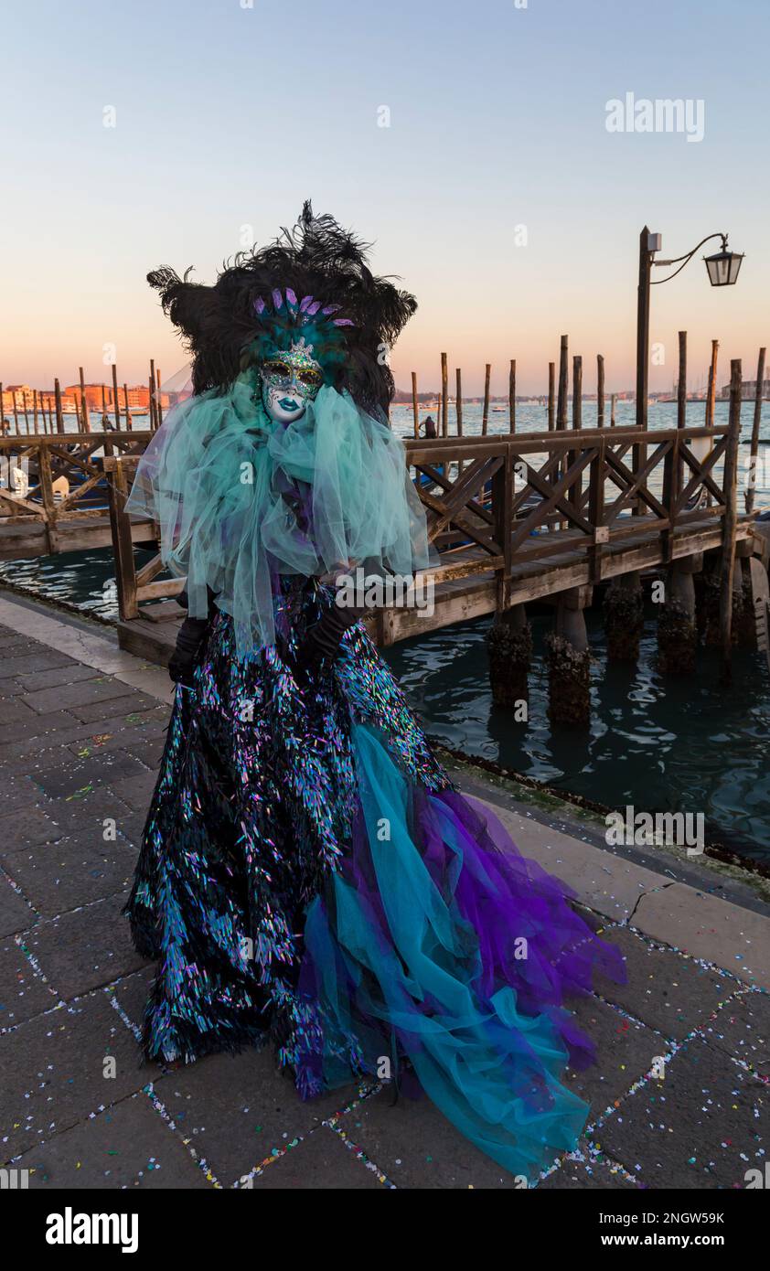 Carnival goer dressed in splendid costume and mask during Venice ...