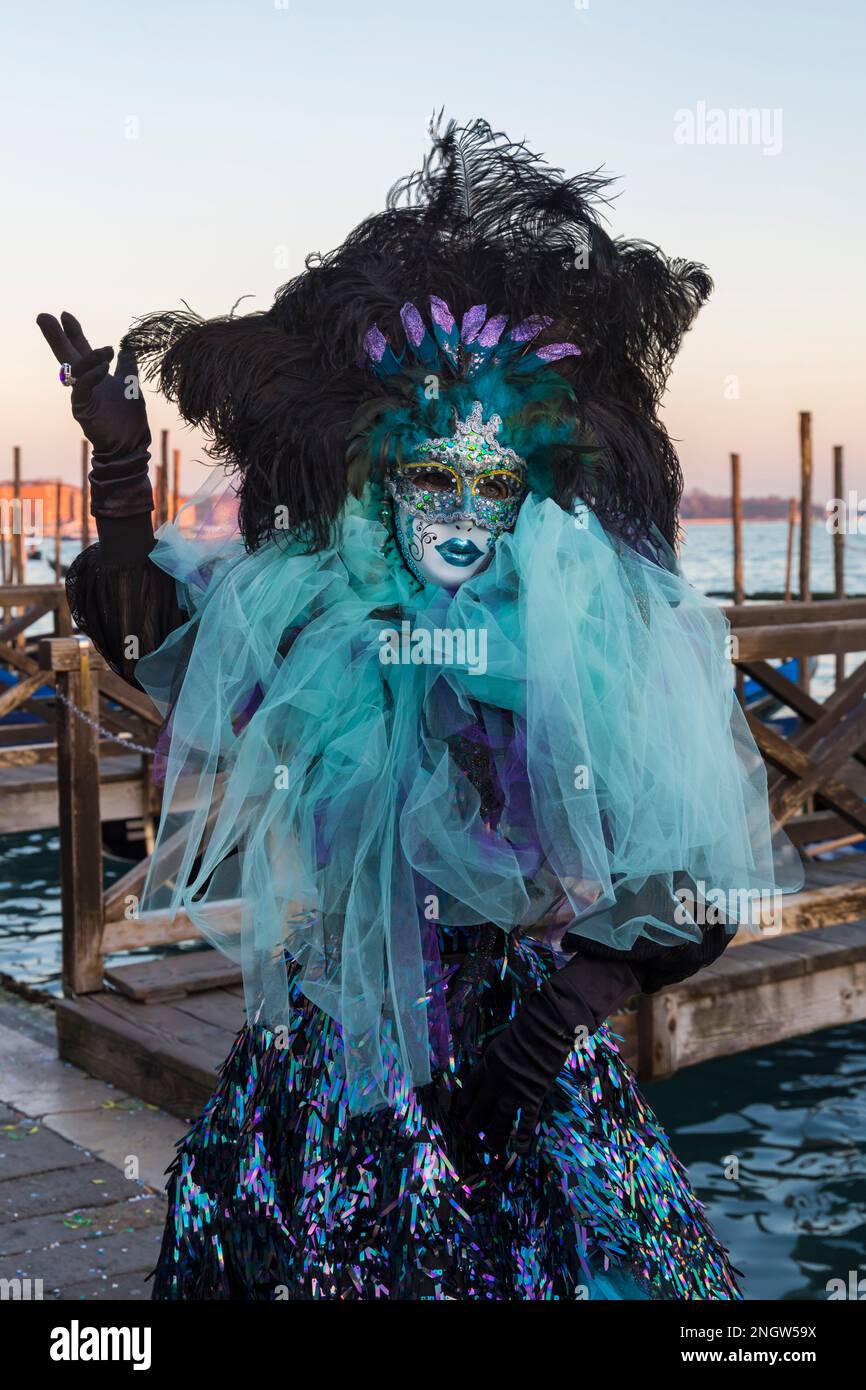 Carnival goer dressed in splendid costume and mask during Venice ...