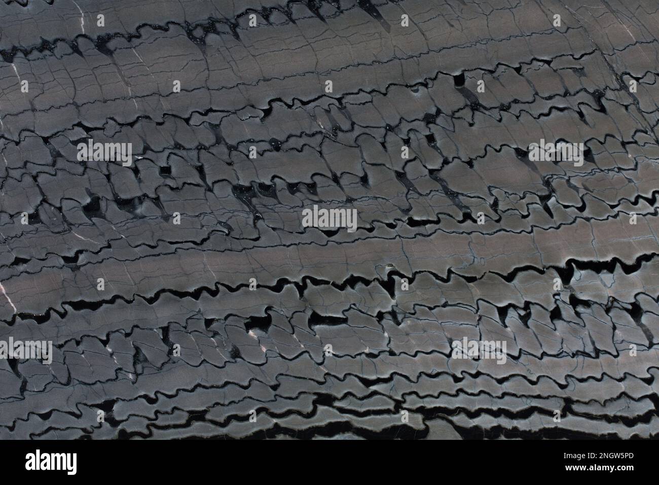 Sequia black, natural quartzite stone texture, photo of slab. Dark grey ...