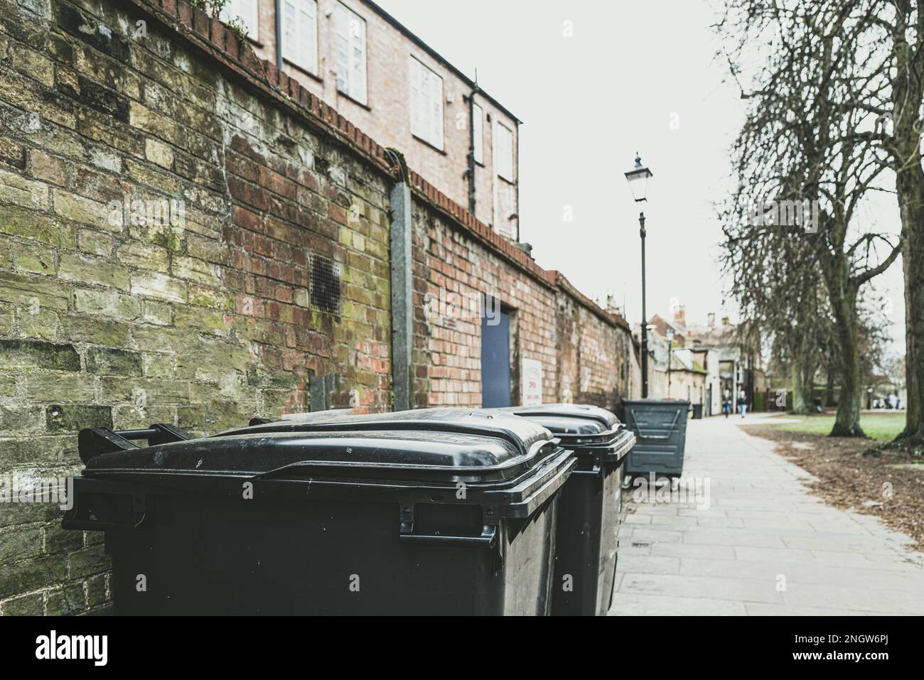 Shallow focus of large retail waste bins seen at the back of shop ...