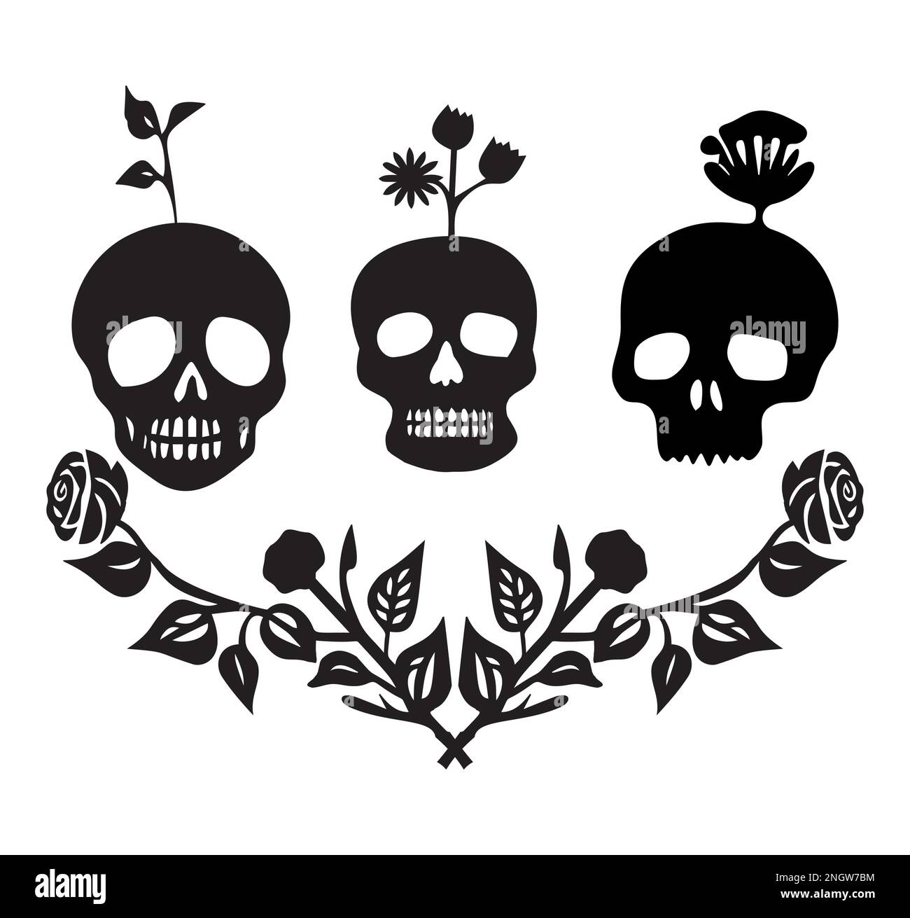 Set of macabre botanical skulls vector motif. Illustration of anatomy ...