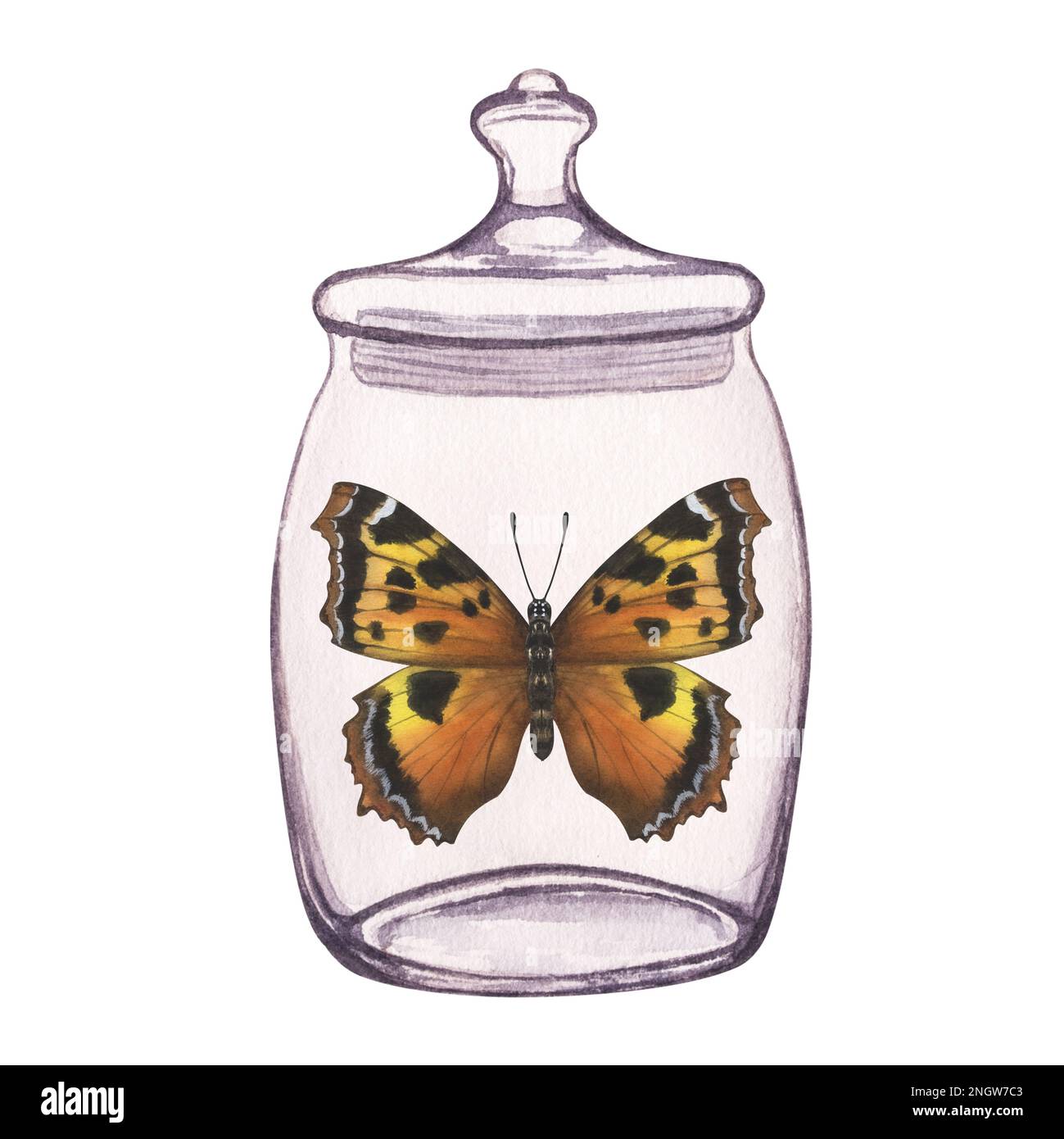Butterfly inside transparent glass jar. Hand-drawn watercolor ...