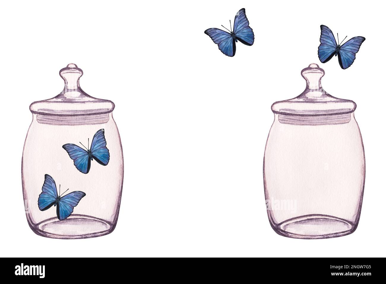 Butterfly inside and outside transparent closed glass jar. Hand-drawn ...