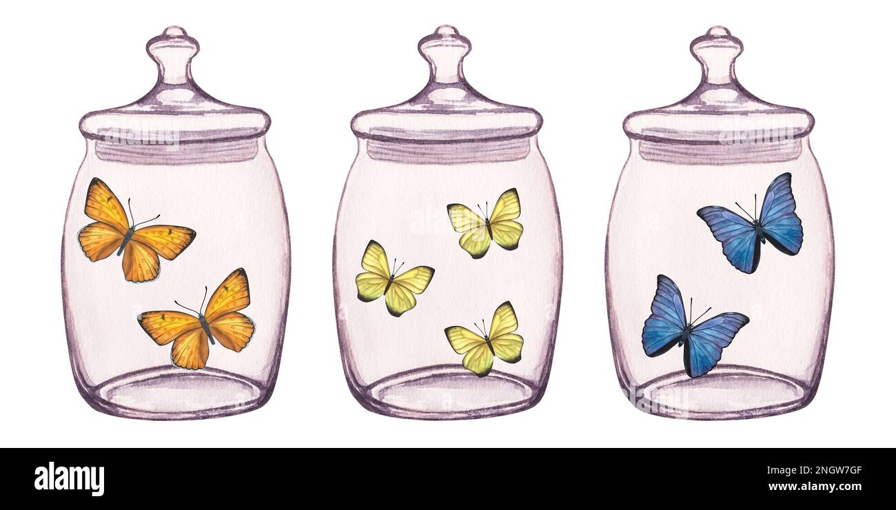 Butterfly inside transparent glass jar. Hand-drawn watercolor ...