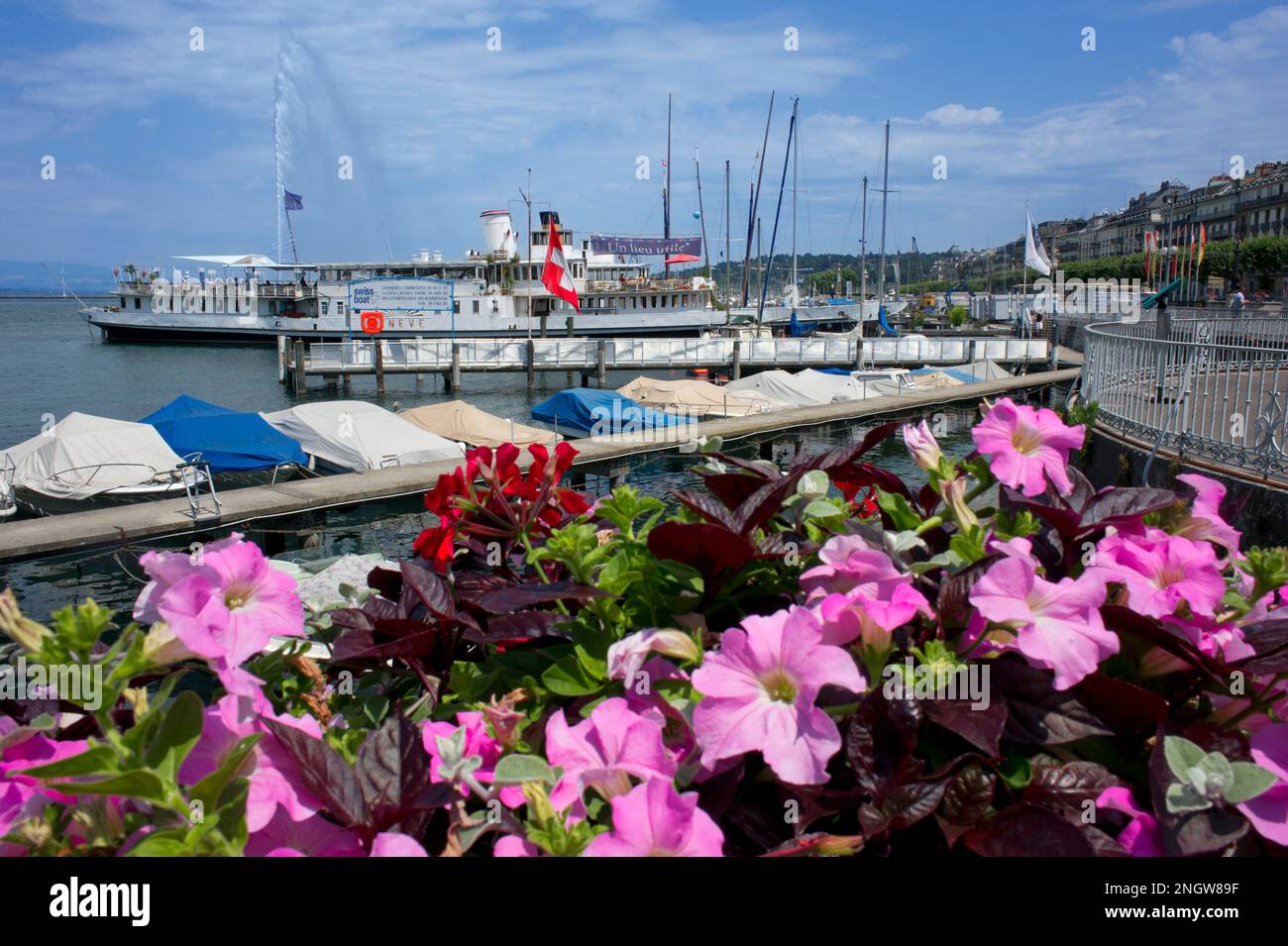 Geneve partage les rives du lac Leman entre espaces verts et immeubles ...
