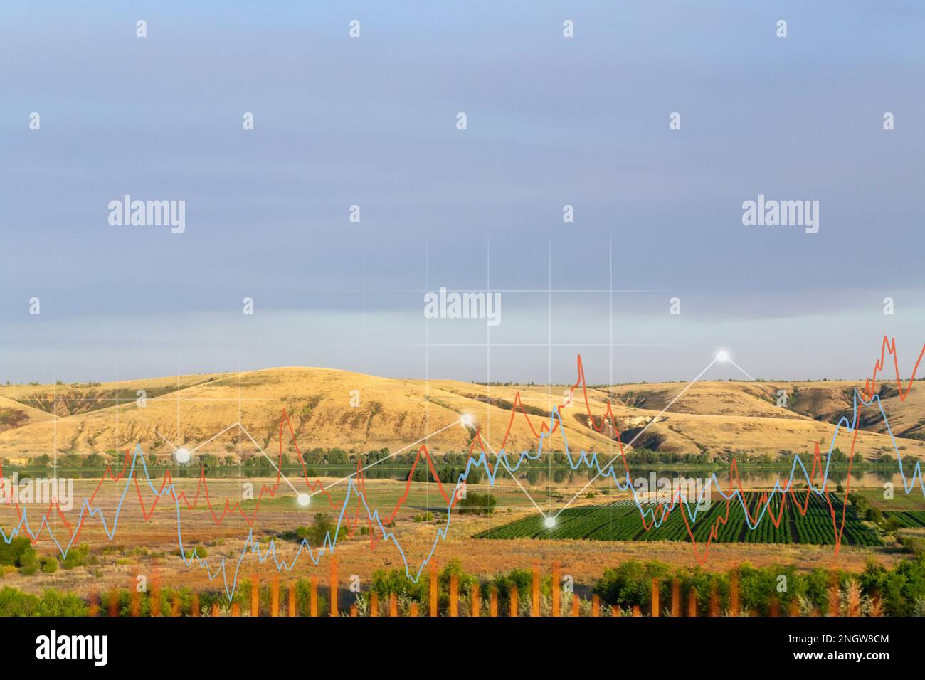 Land value field, house building, growth graph of trade market price ...