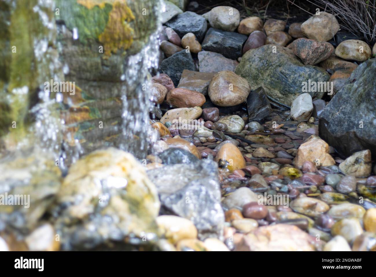 spring water source in nature Stock Photo - Alamy