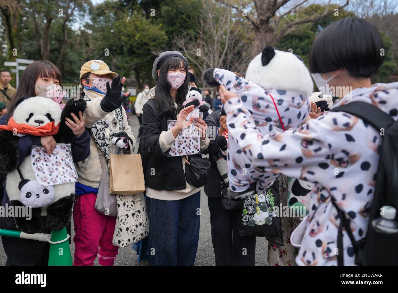 Tokyo, Japan. 19th Feb, 2023. Panda lovers communicate with each other ...