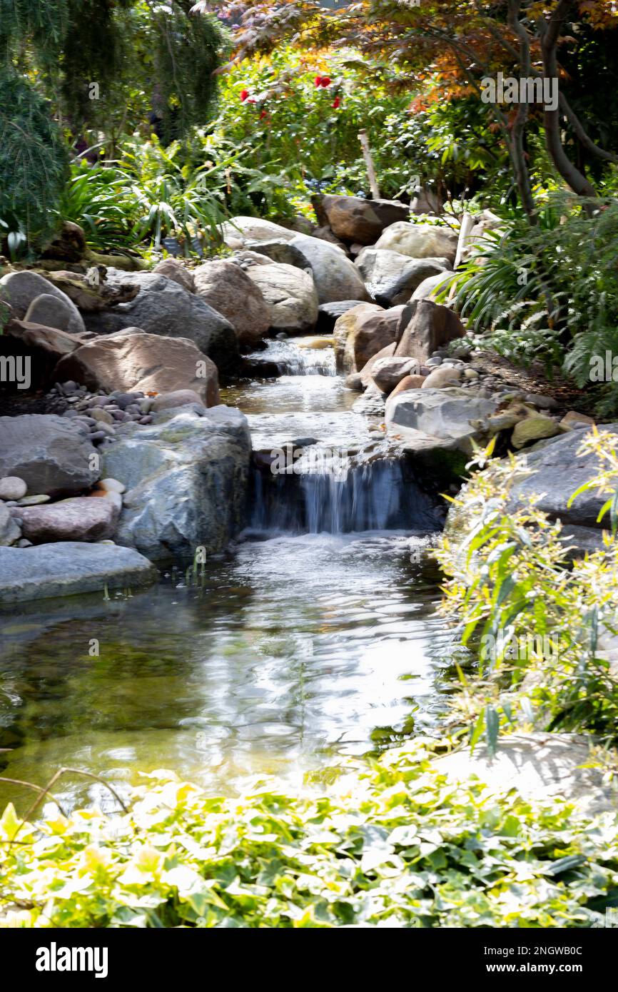 spring water source in nature Stock Photo - Alamy