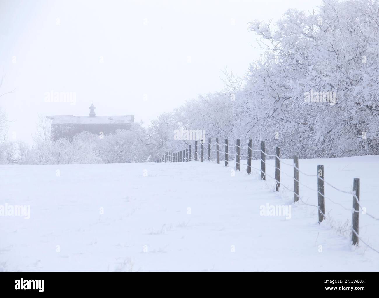 Prairie landscape canada fence line hi-res stock photography and images ...