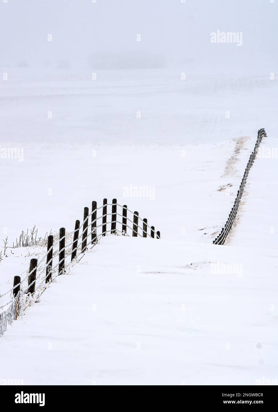 Prairie landscape canada fence line hi-res stock photography and images ...