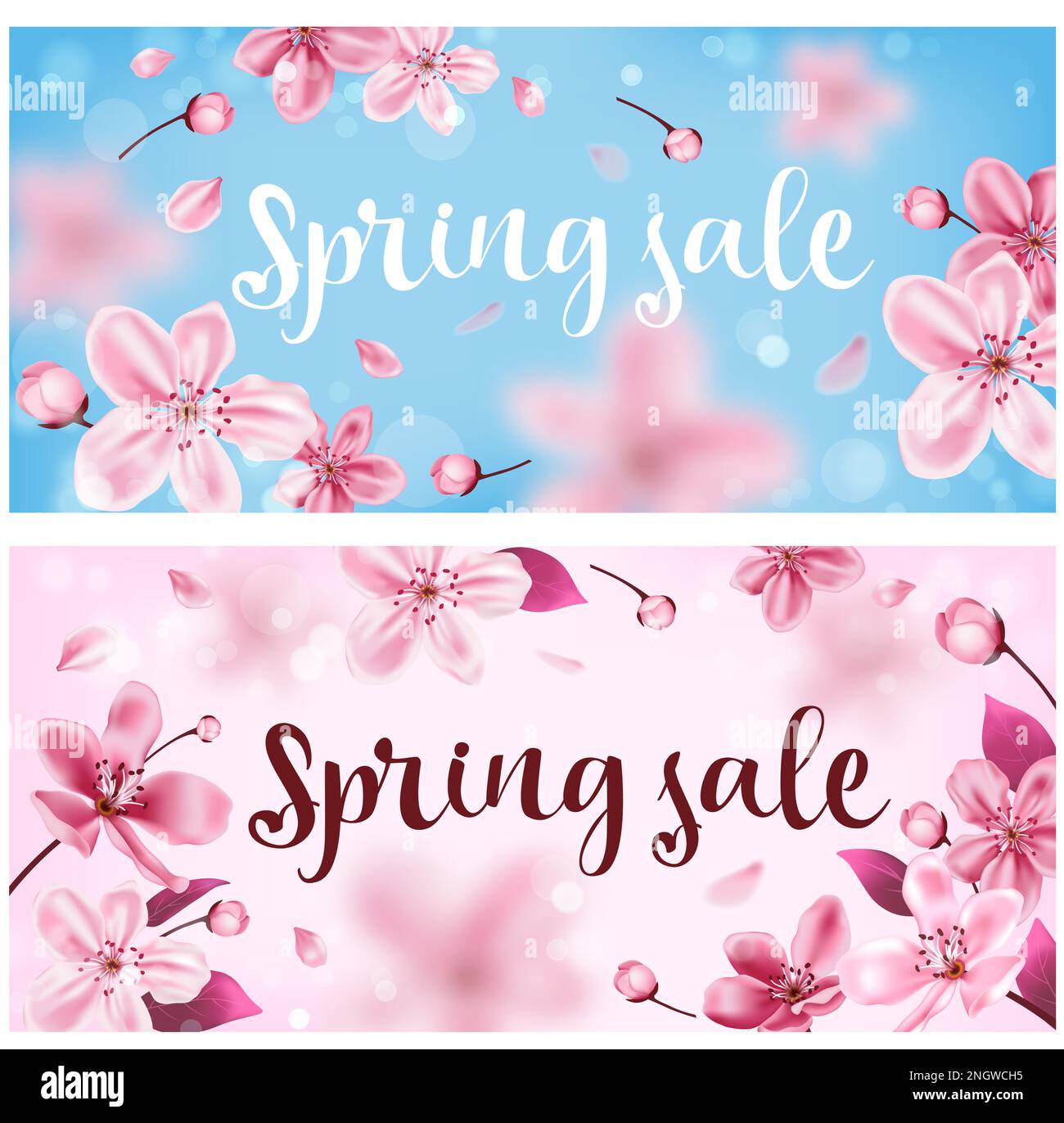 Blossom sakura banners cherry Cut Out Stock Images & Pictures - Alamy