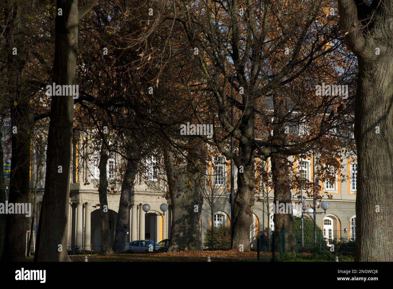 Bonn nord hi-res stock photography and images - Alamy