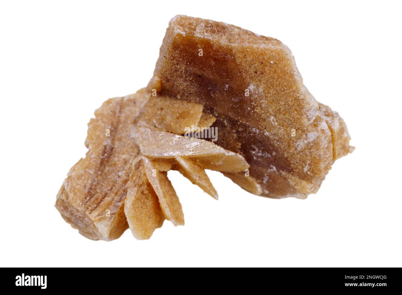 Desert rose. Rock composed of gypsum close up, crystals that resemble ...