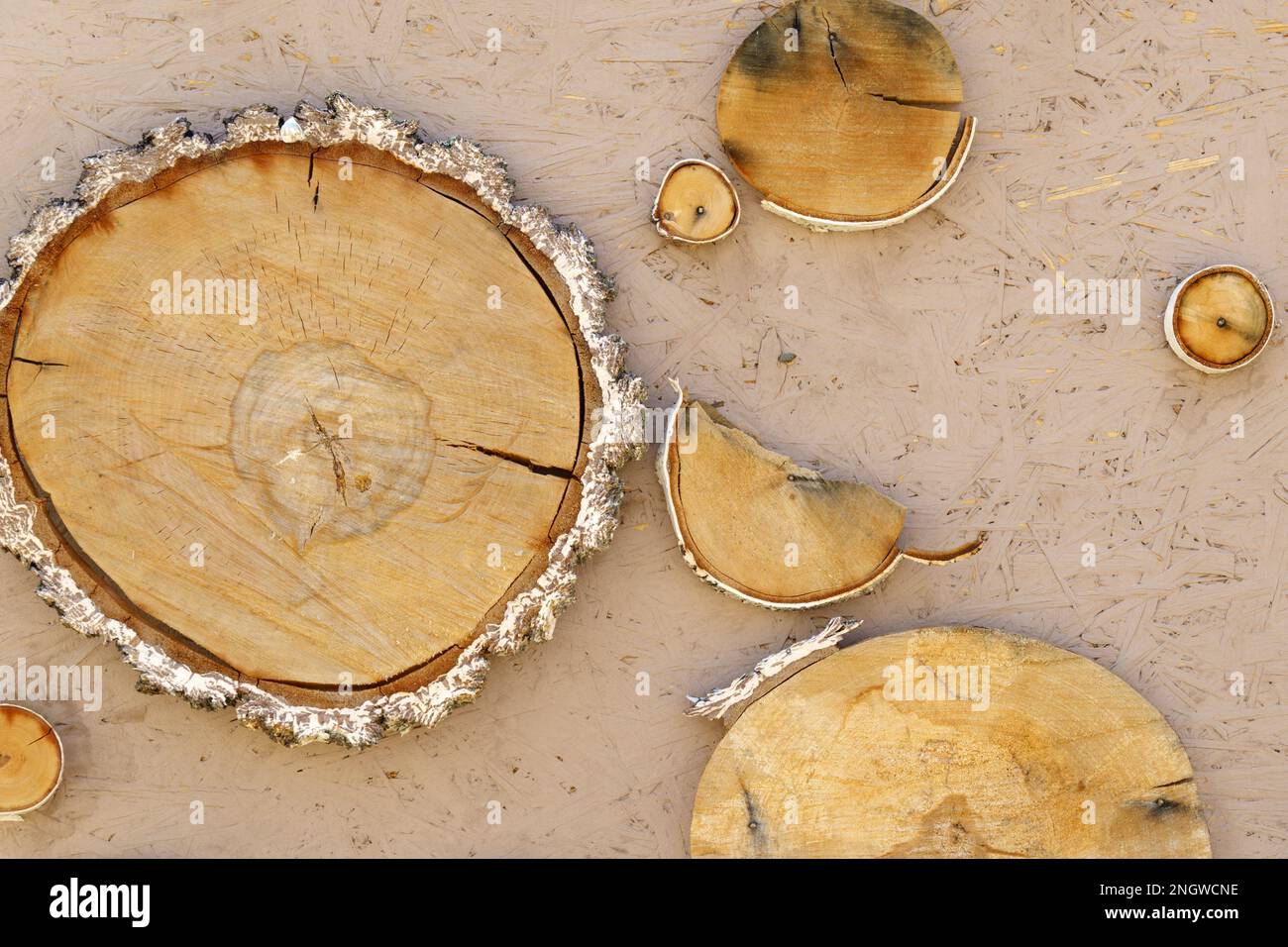 Wood cut texture, decor. Used various forms and textures of wood Stock ...