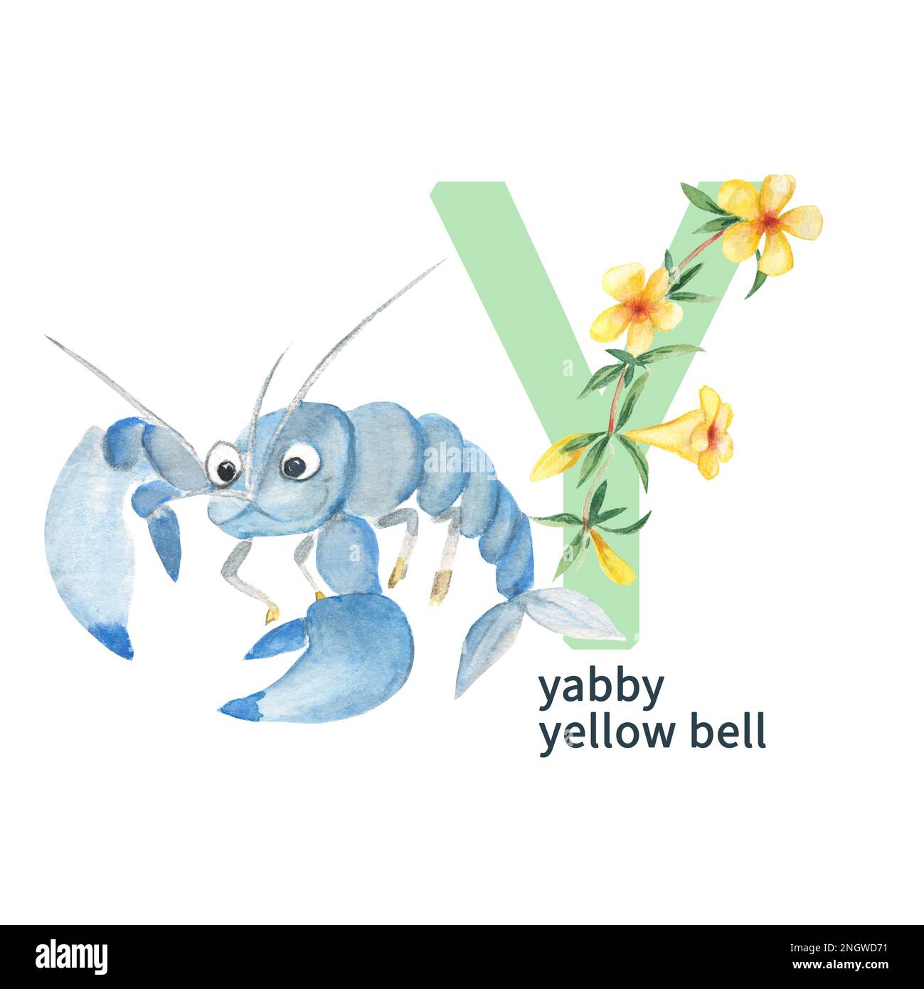 Letter Y, yabby, yellow bell, cute kids animal and floral ABC alphabet ...