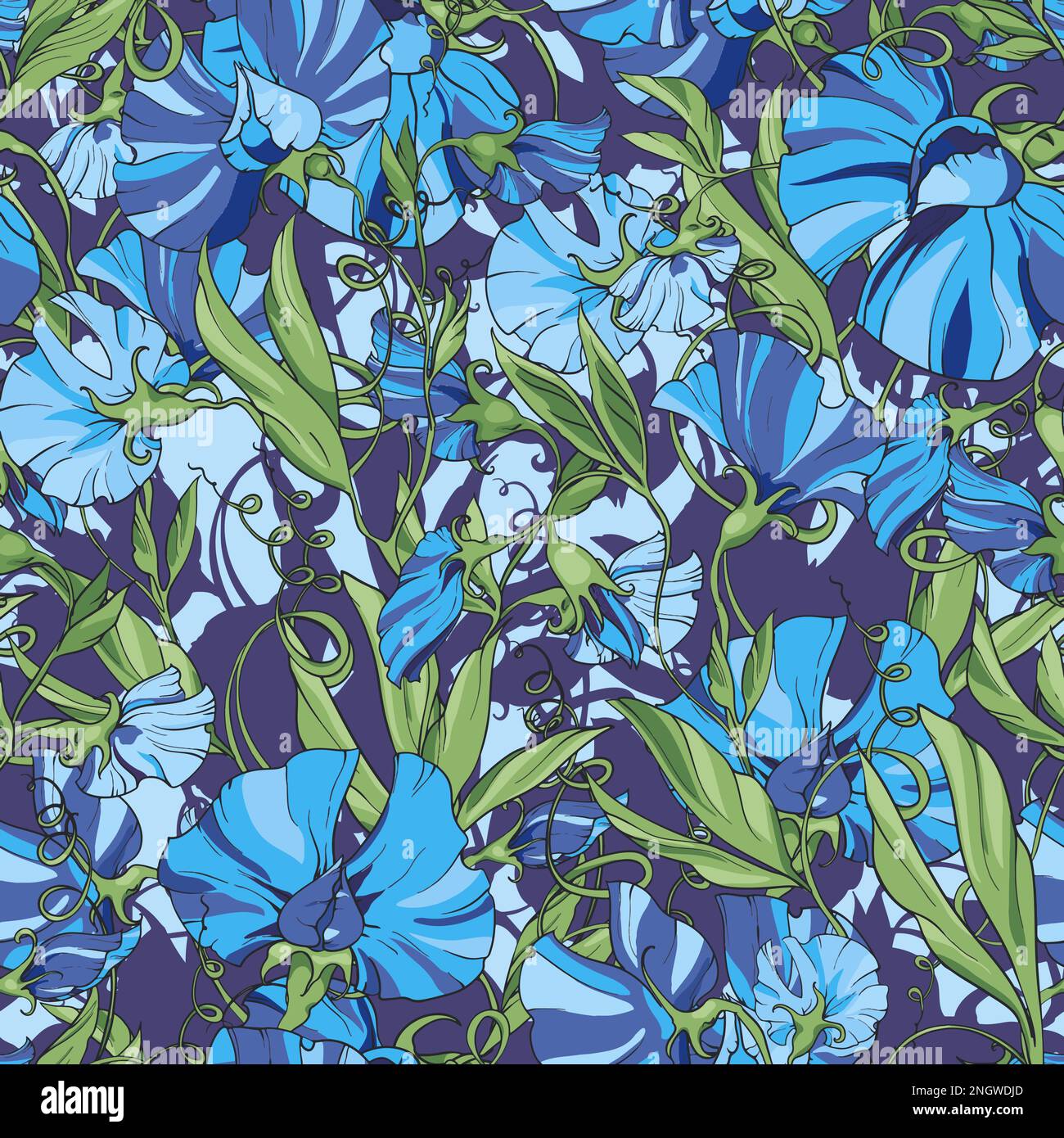 Blue flowers sweet pea on a blue purple background, floral seamless ...