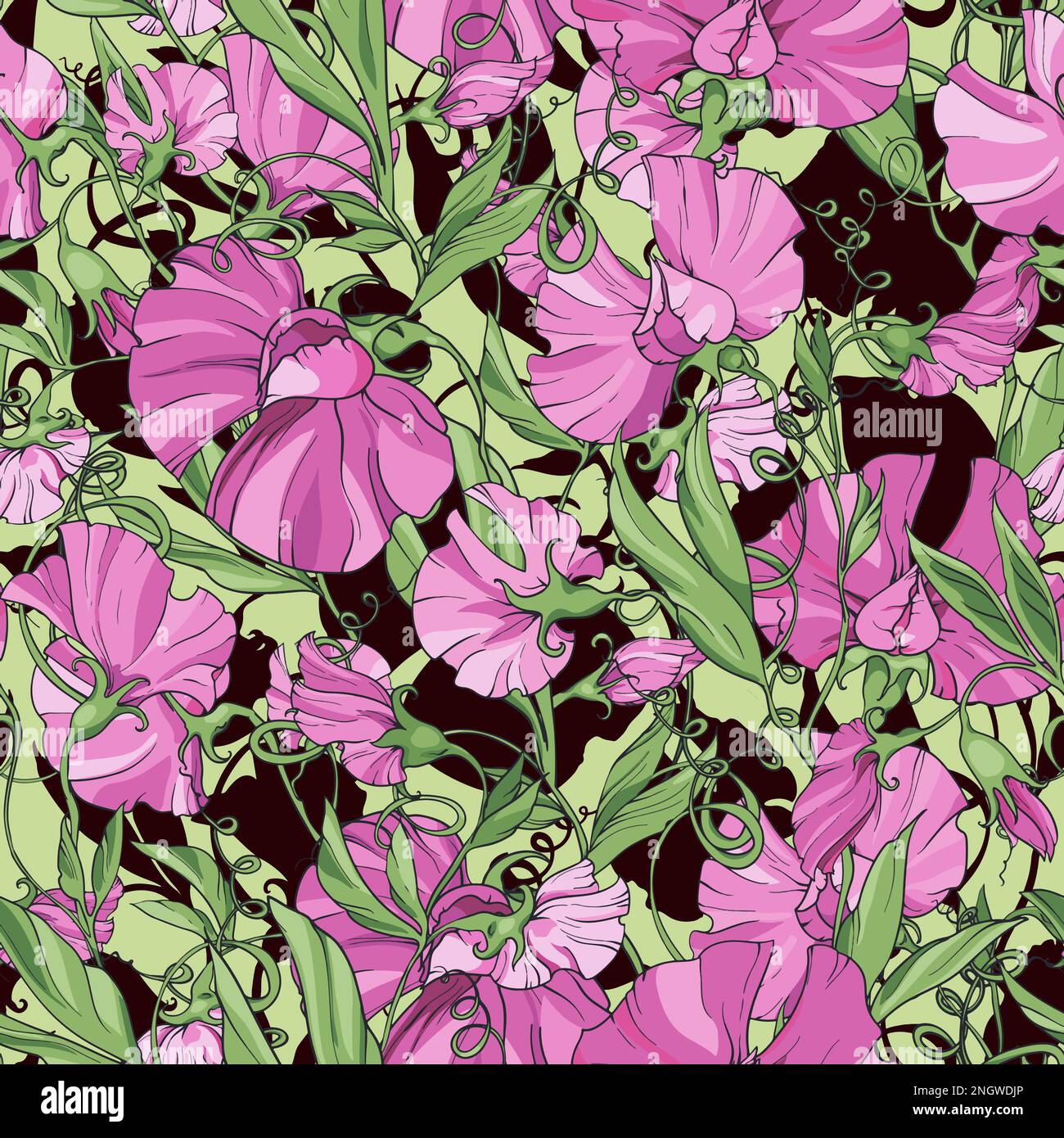 White pea flowers Stock Vector Images - Alamy