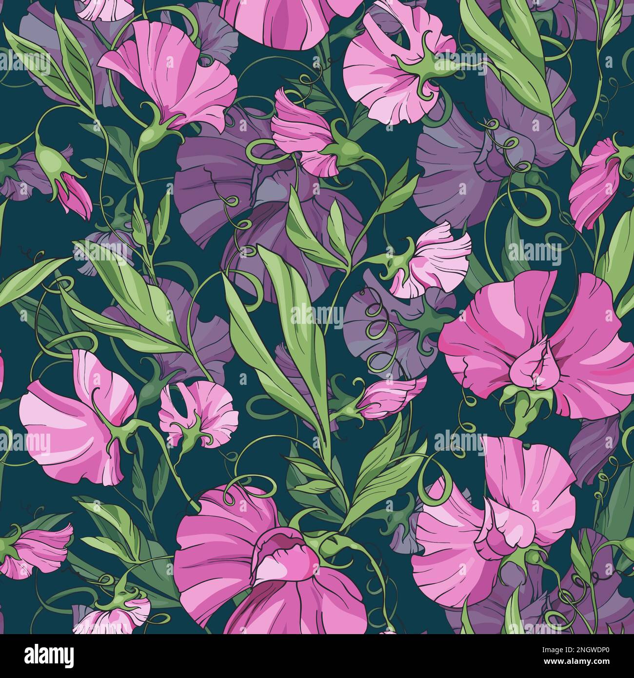 pink flowers sweet pea on a green background, floral seamless pattern ...