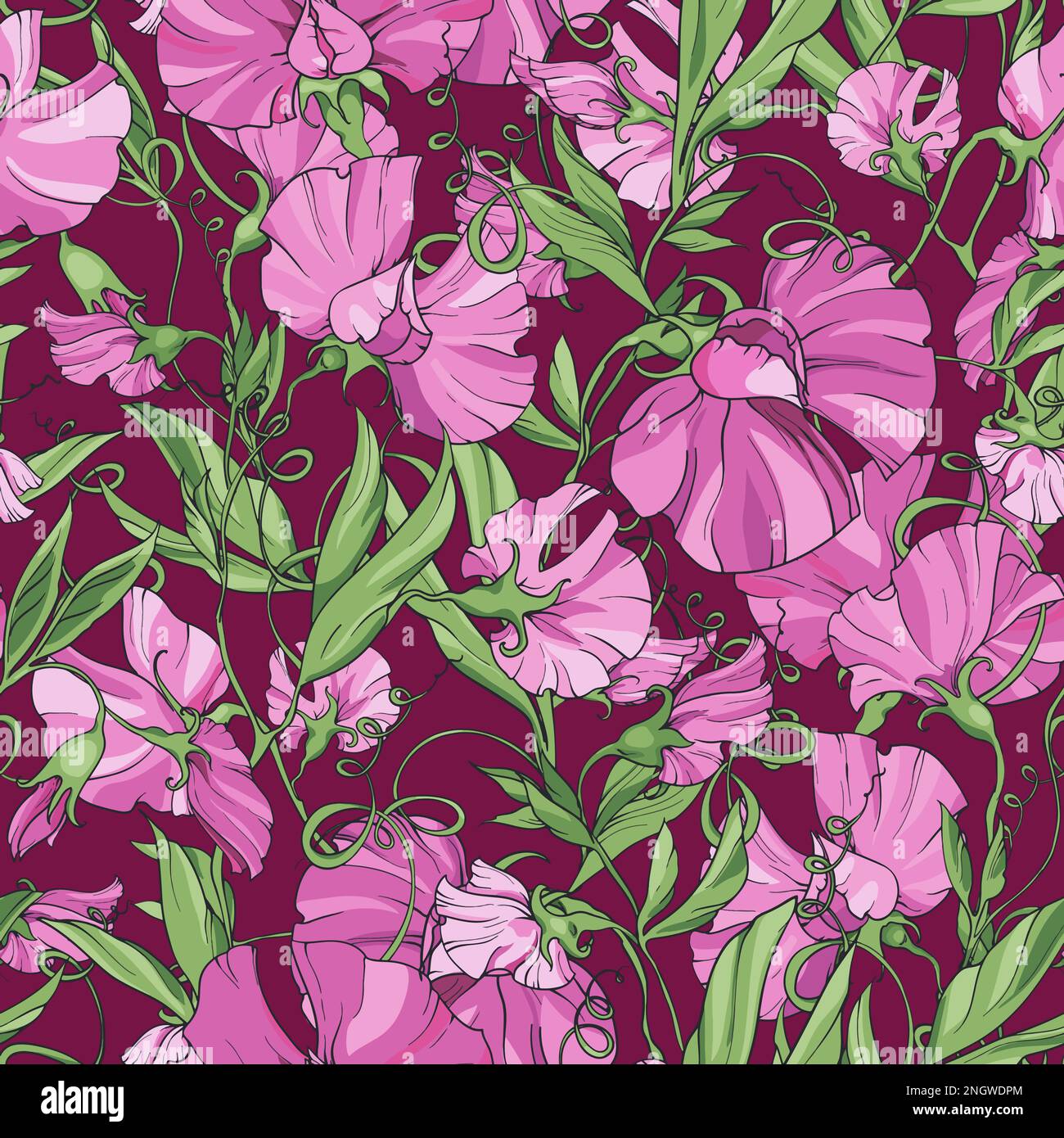 pink flowers sweet pea on a red background, floral seamless pattern ...