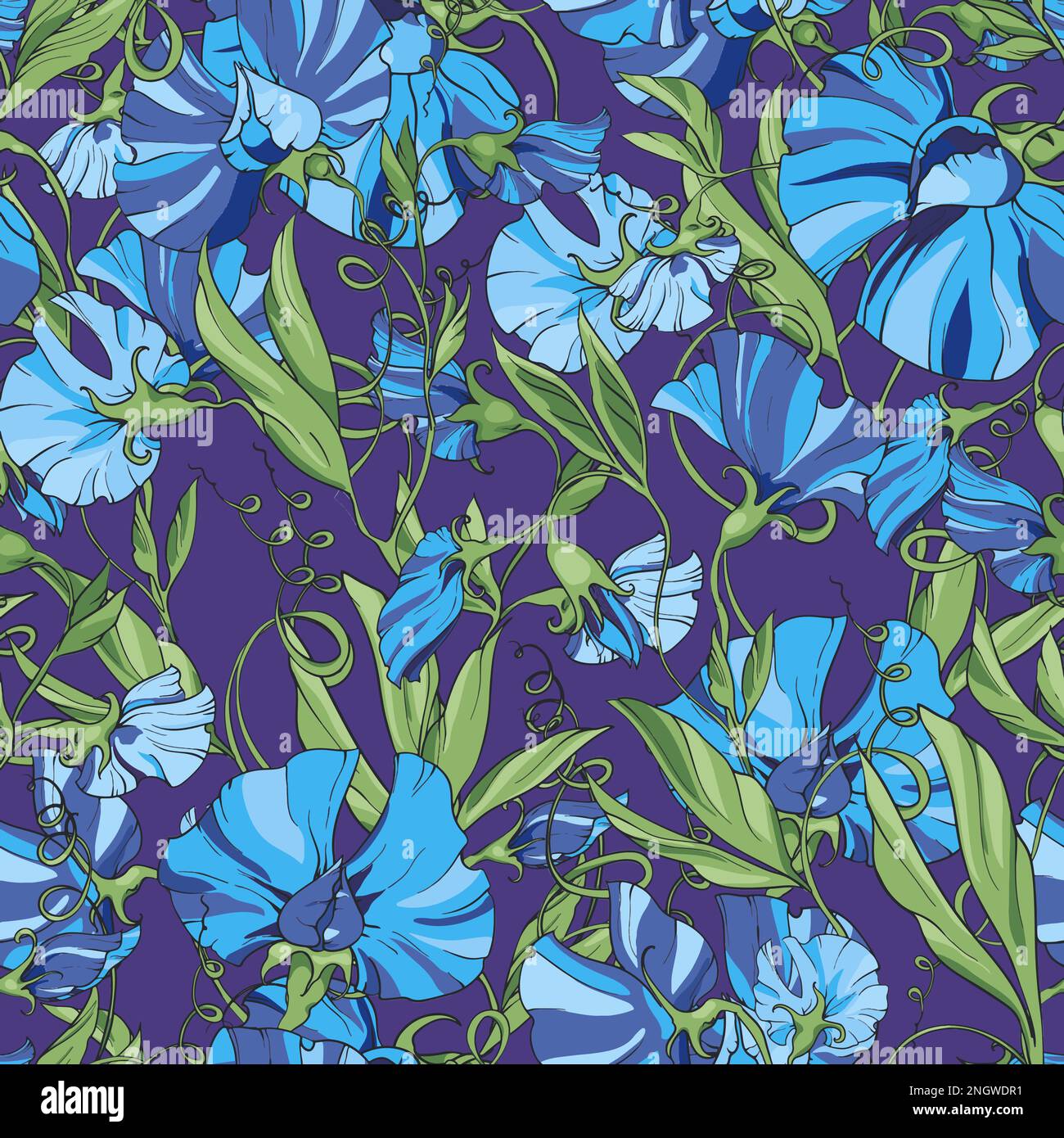 Purple sweet pea flowers Stock Vector Images - Alamy